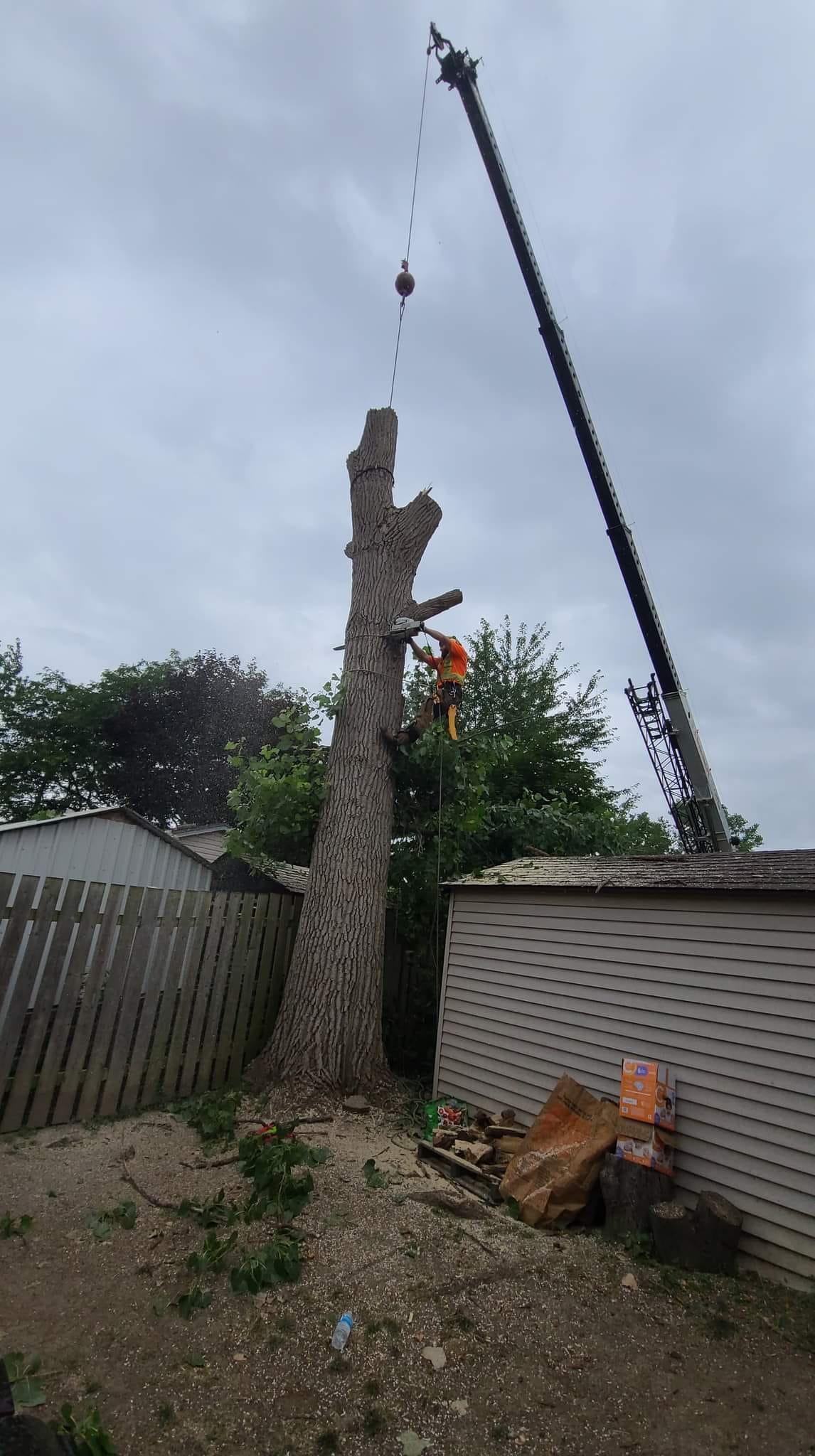 Helping Hands Tree Service - Helping Hands Tree Service